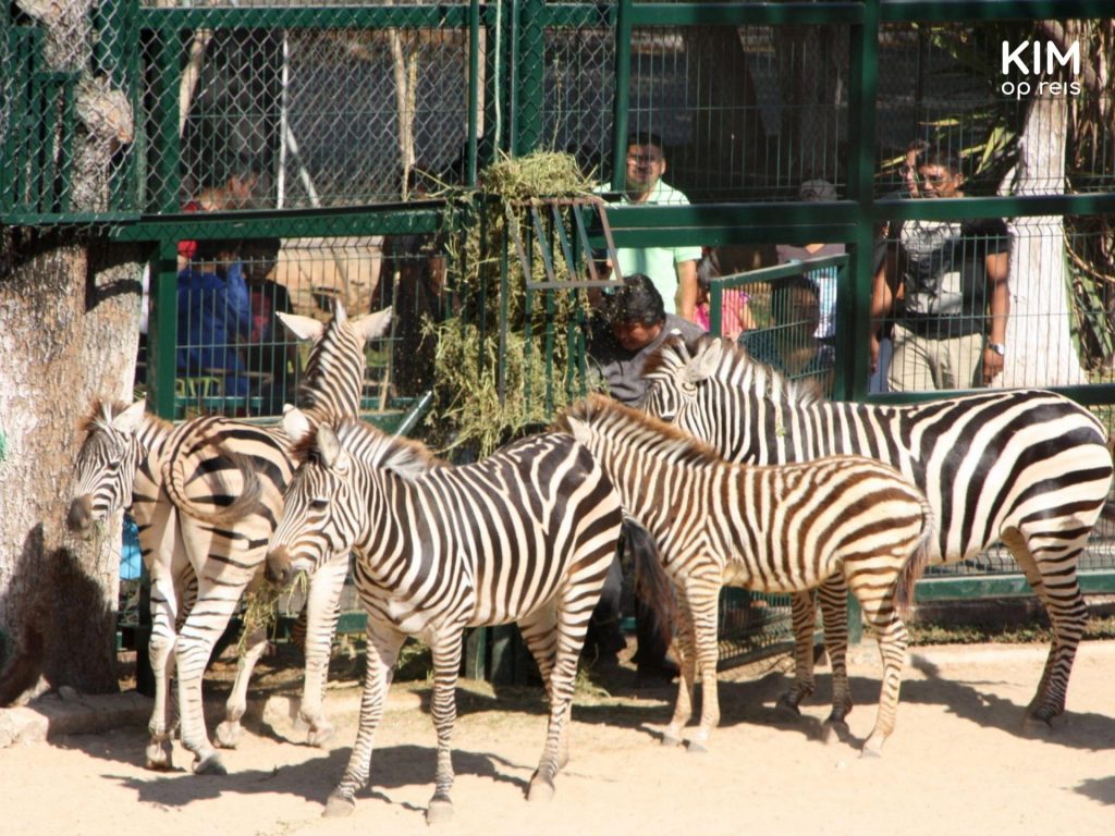 12 free things to do in Mérida, Mexico | Trip Unlocked | Follow the horizon