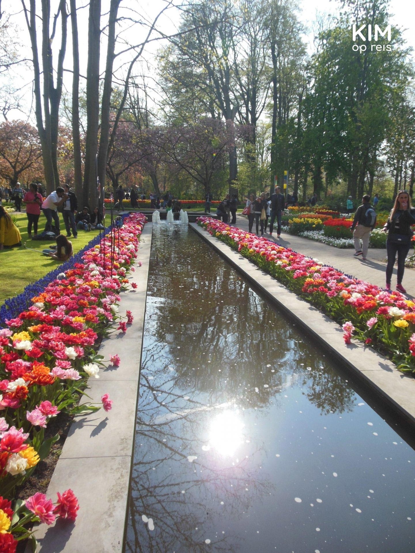 De Keukenhof bezoeken: wat kun je verwachten? | Kim op reis