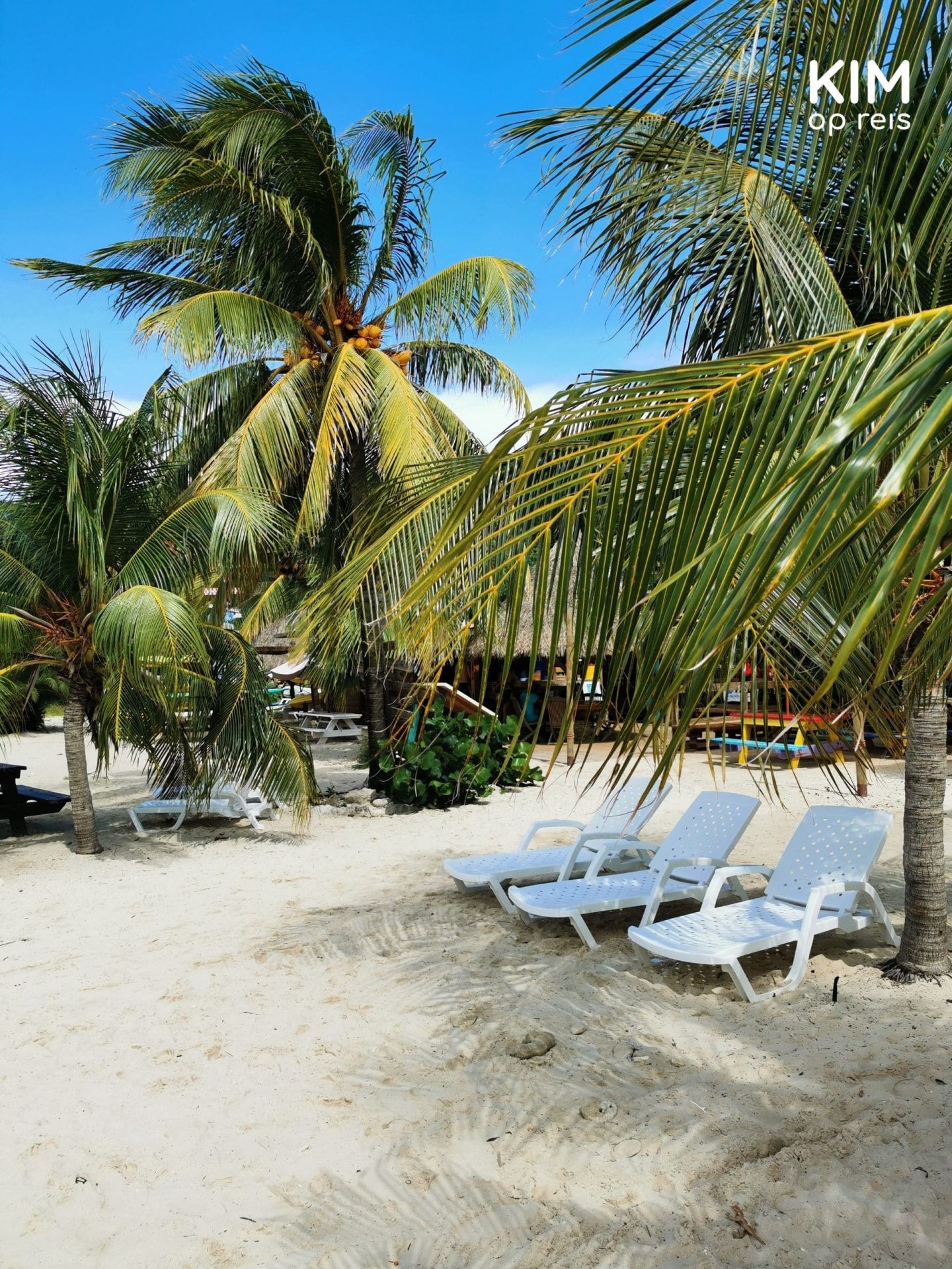 Where to find the nicest beaches in Curaçao | Trip Unlocked