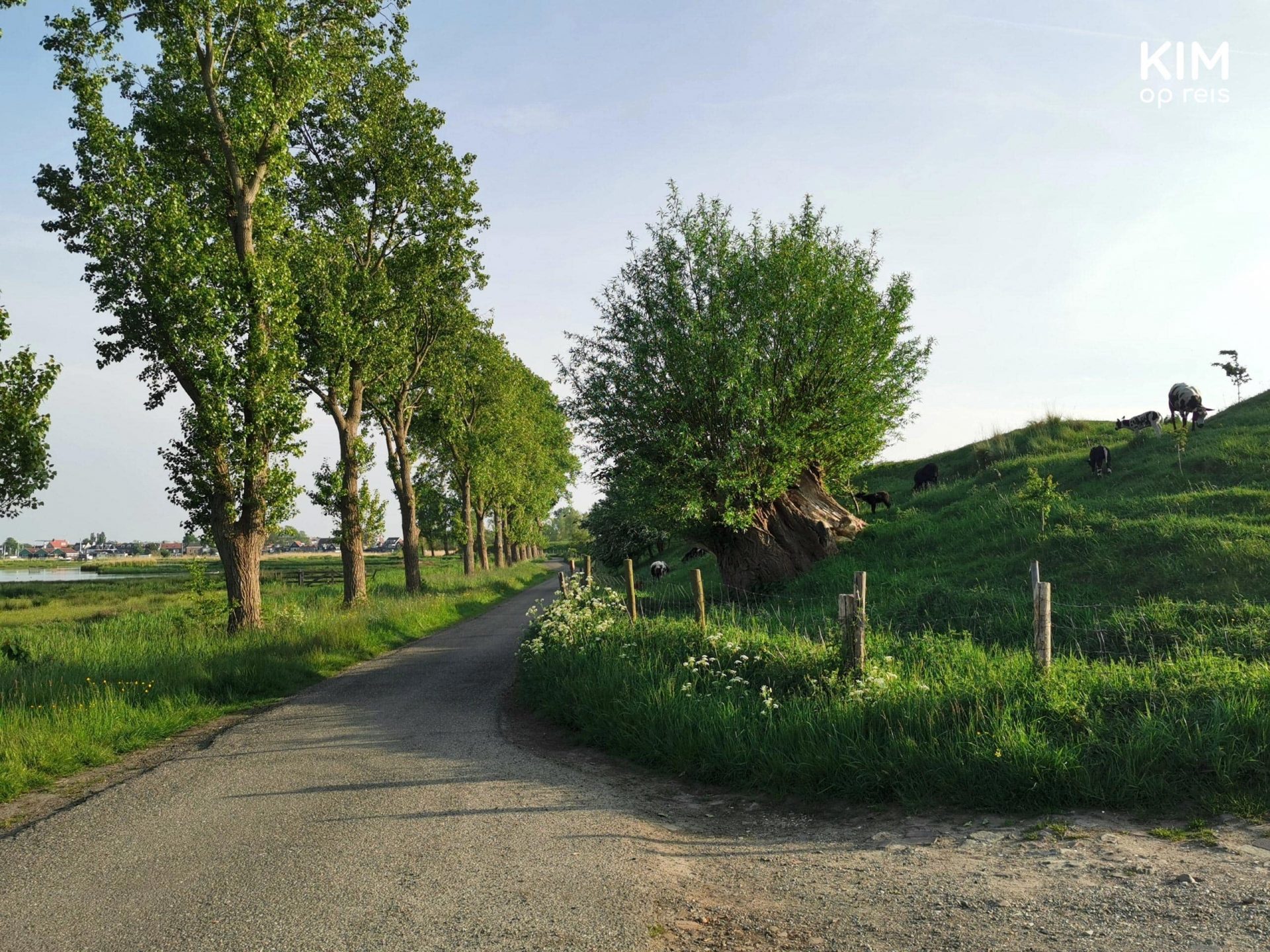 Nature walks and hikes near Amsterdam: Stelling van Amsterdam (+ Google ...