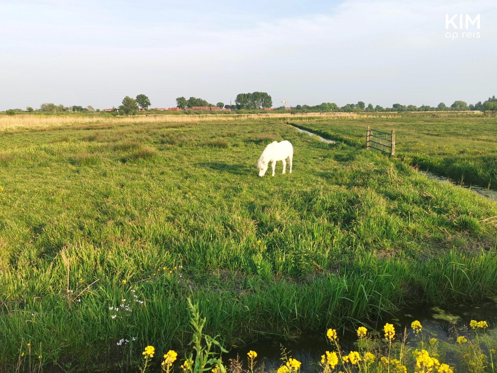 Nature walks and hikes near Amsterdam: Stelling van Amsterdam (+ Google ...