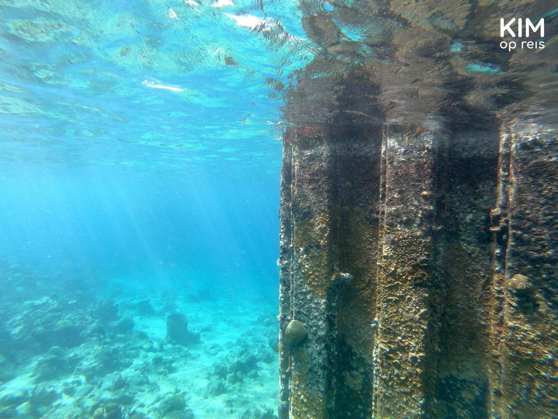 Curaçao's must-see snorkeling spot: the tugboat wreck | Trip Unlocked