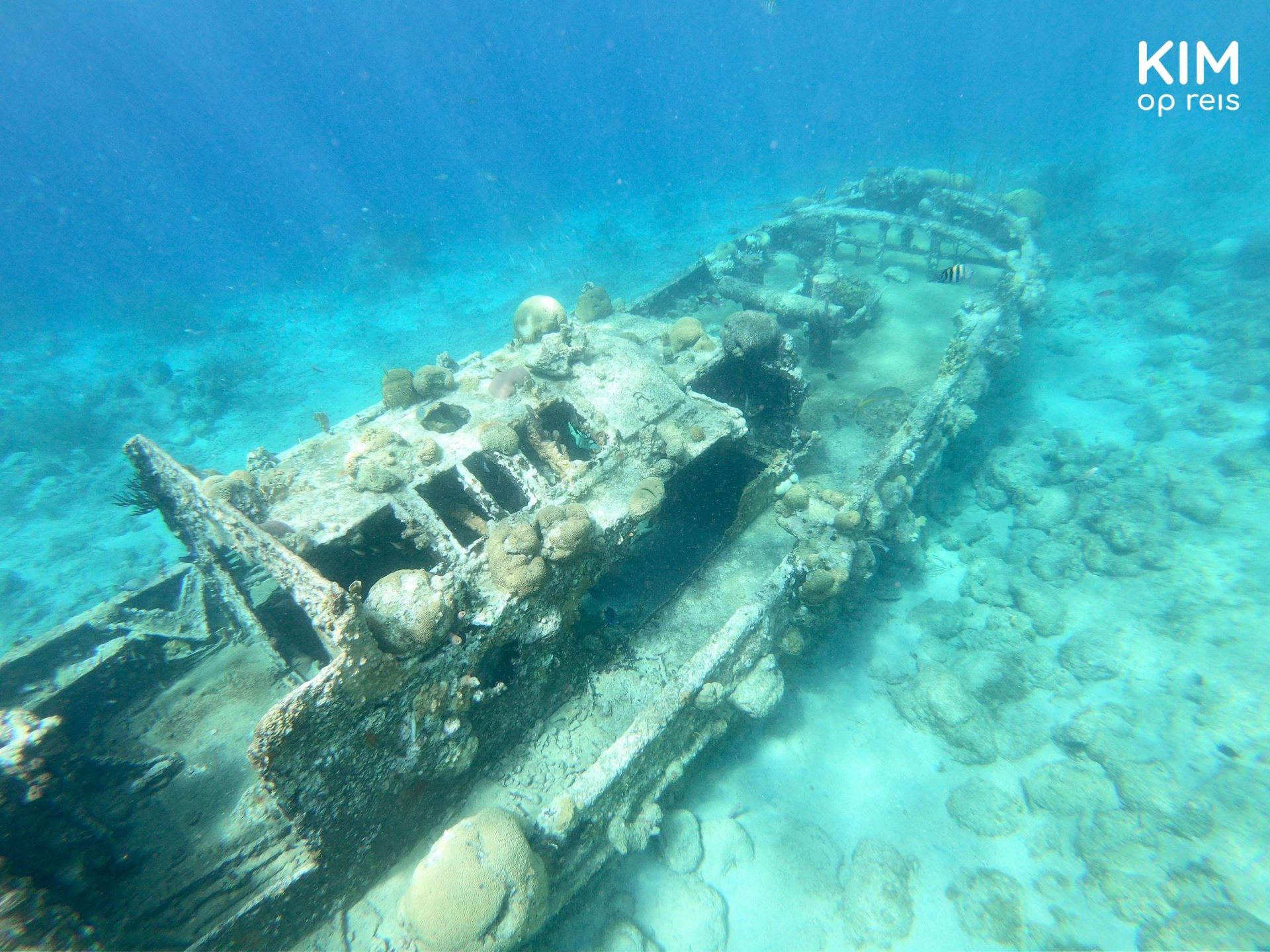 Curaçao's must-see snorkeling spot: the tugboat wreck | Trip Unlocked