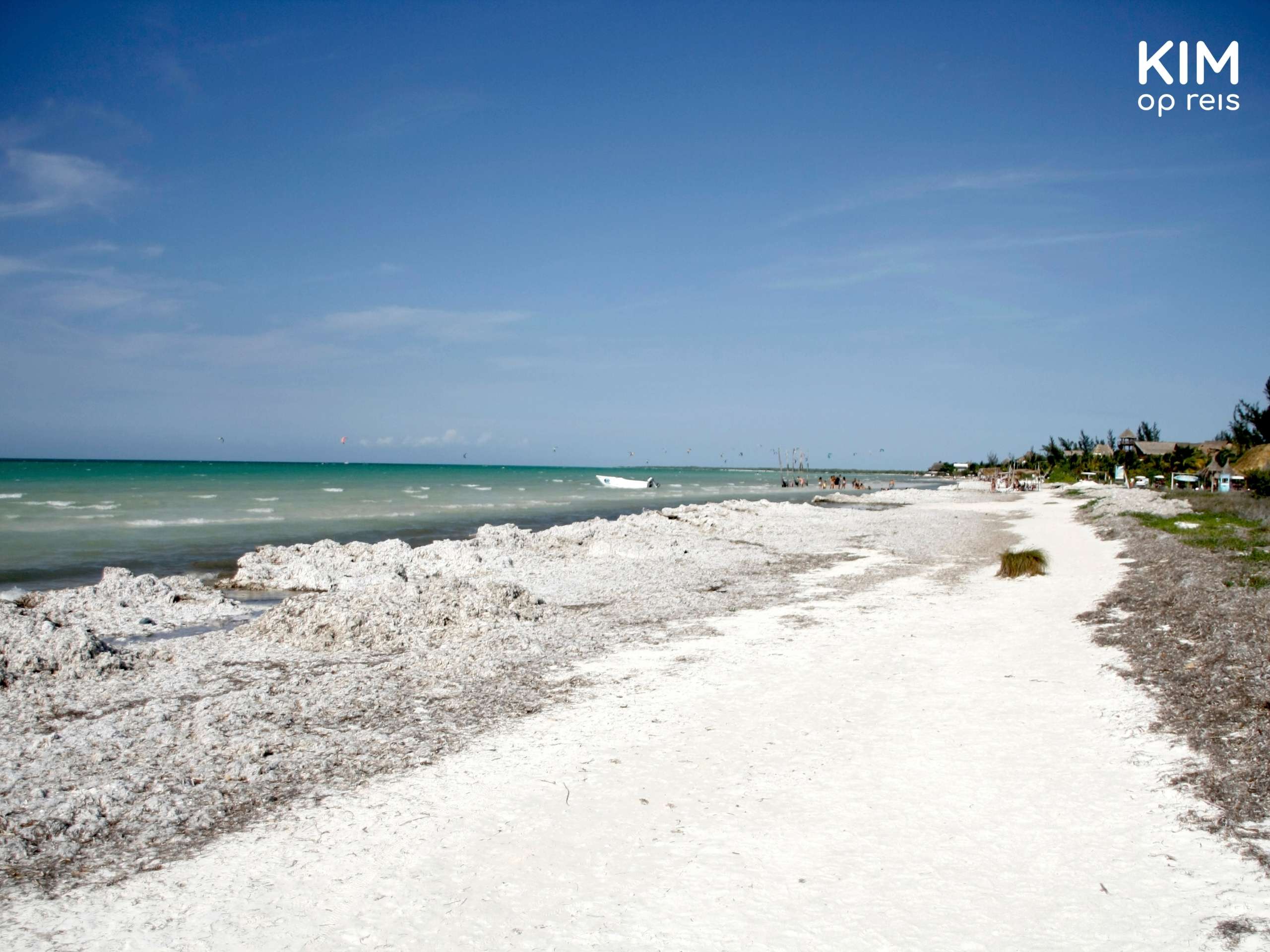 Isla Holbox: the tourist trap you'll love | Trip Unlocked