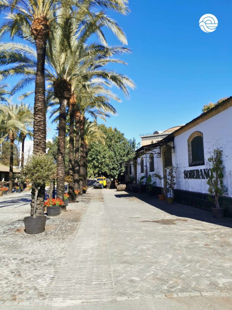 My favorite sherry tours and wine tastings in the Cádiz and Jerez area ...