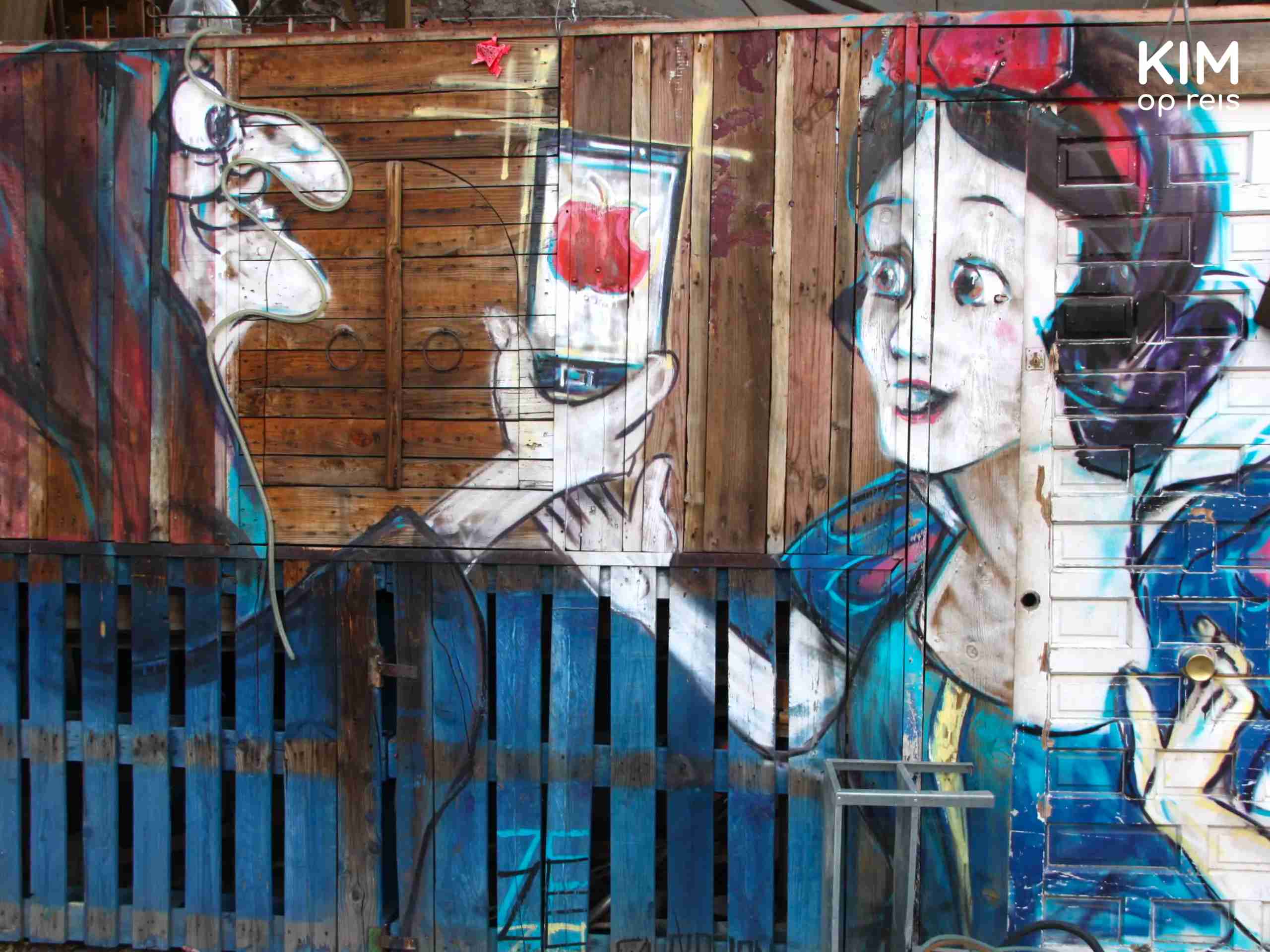Ssssst! Coole onontdekte spots met de Madrid streetart tour | Kim op reis