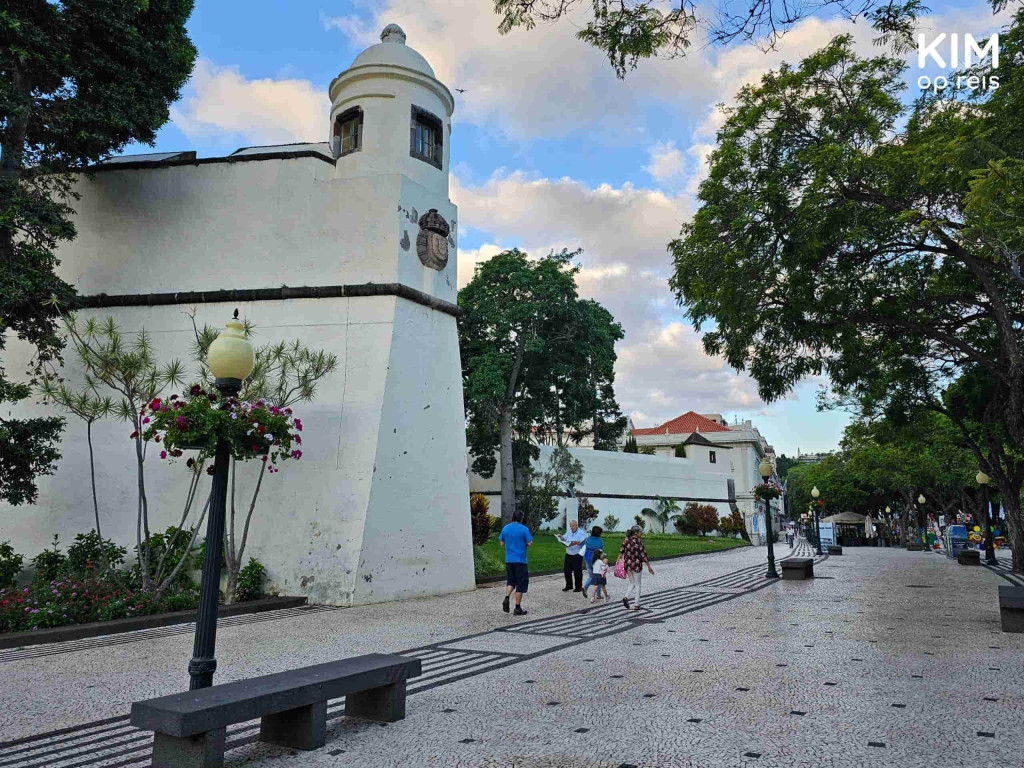 MANY tips for things to do in Funchal, Madeira | Trip Unlocked