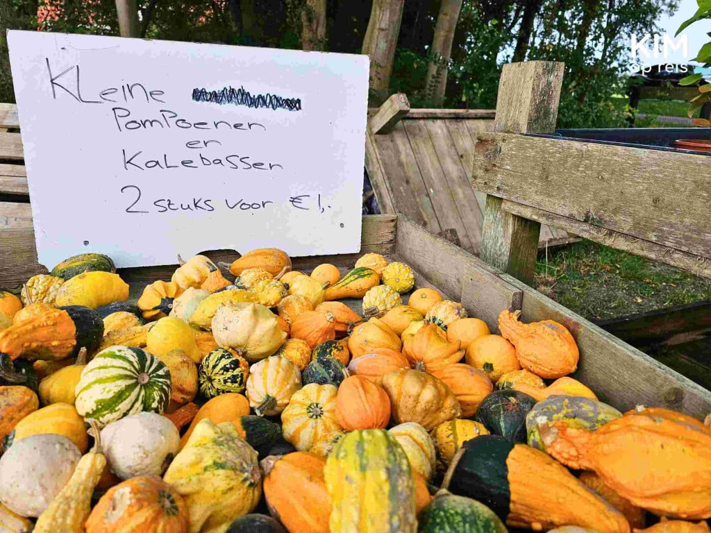Heerlijk herfstuitje: op naar de pompoenboerderij! | Kim op reis