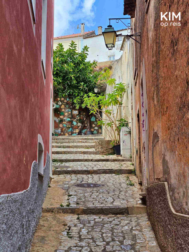 Monchique in Portugal: exchange the Algarve coast for the mountains ...